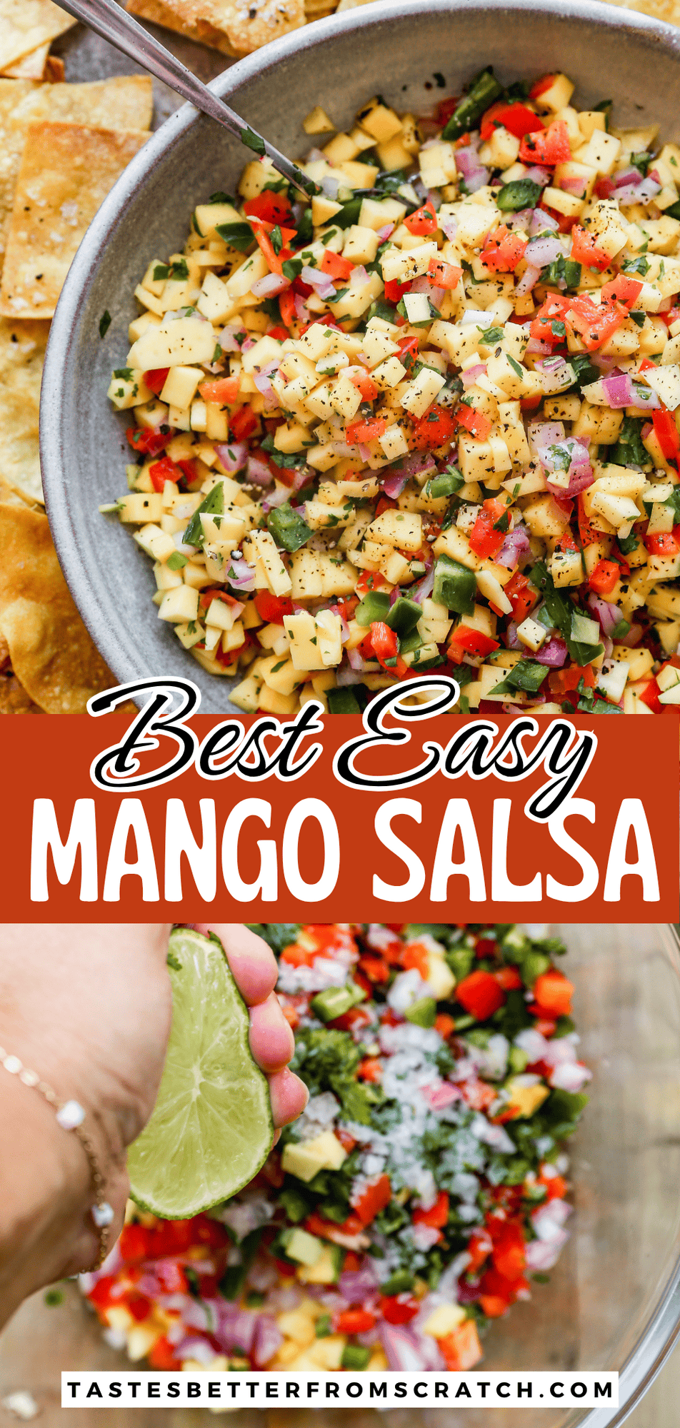 BEST and Easiest Mango Salsa - Tastes Better From Scratch