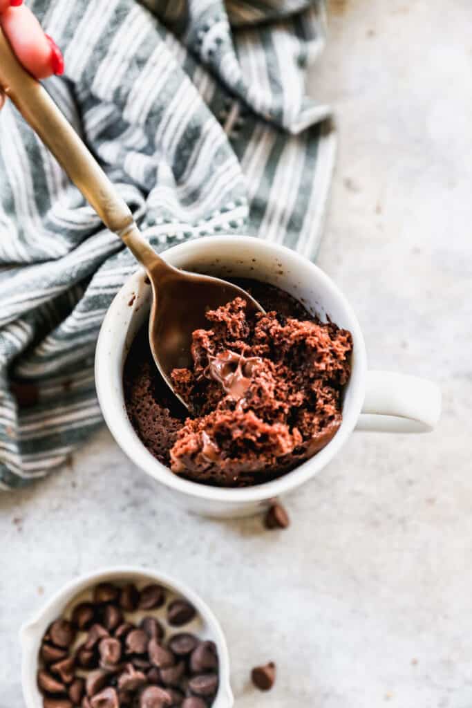 Easy Chocolate Mug Cake - Tastes Better from Scratch